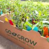 Rooted in | Horticulture & Conservation Experts