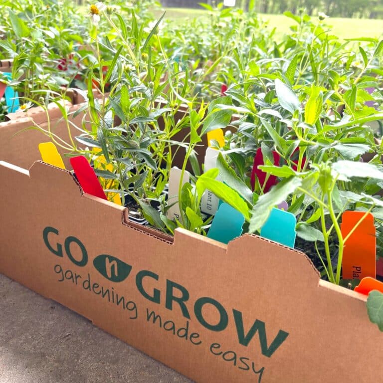 Rooted in | Horticulture & Conservation Experts