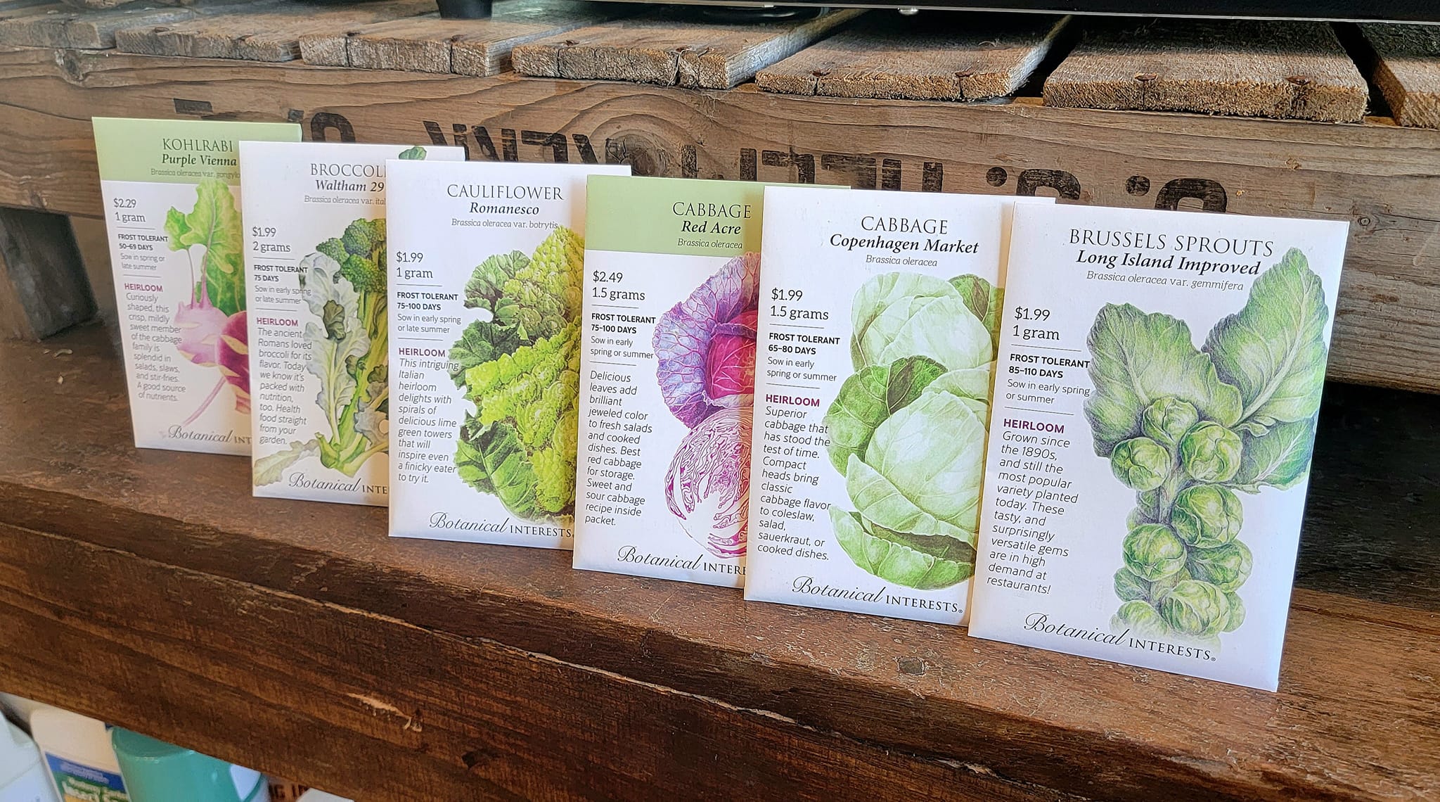 5 Types of Plants BEST Planted in Fall! | Rooted In