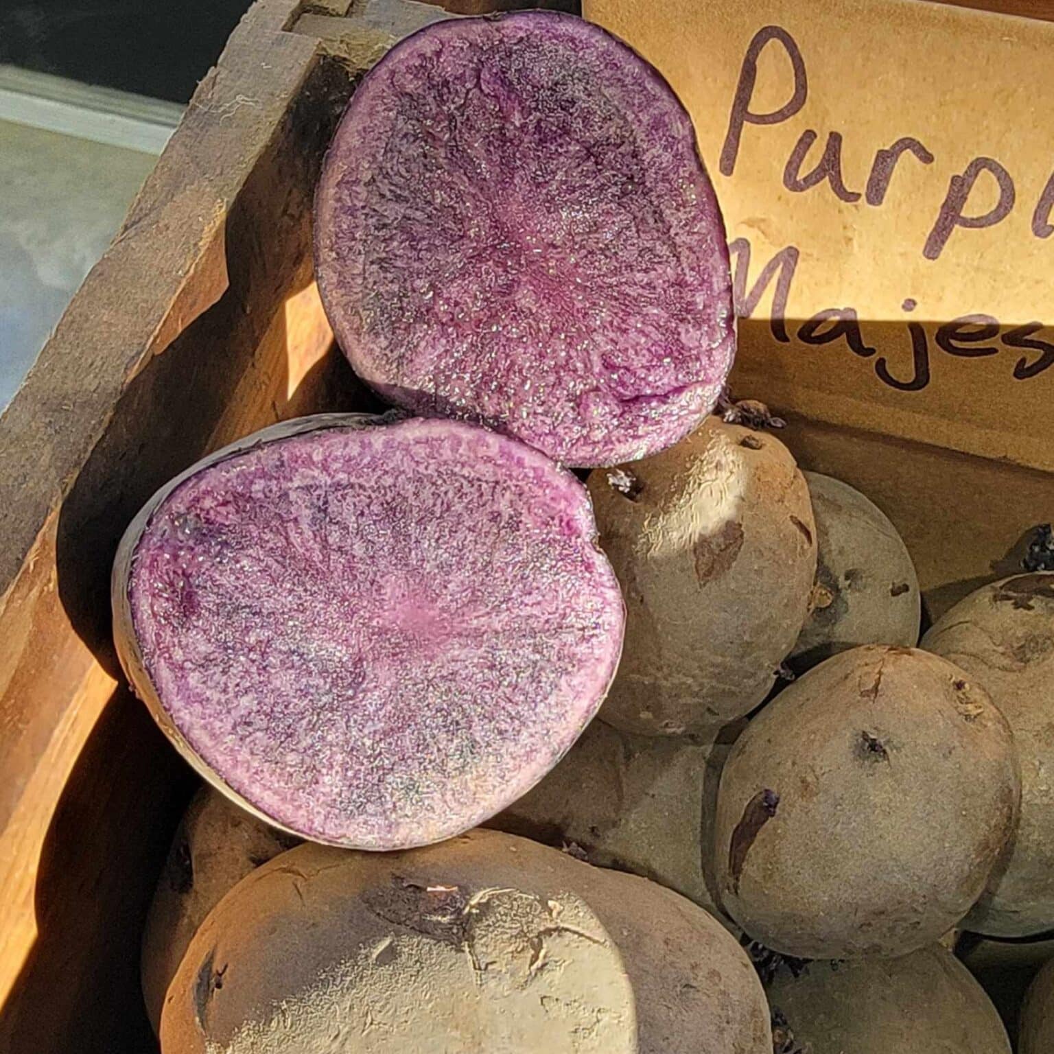 NOW is the Time for Potato Planting in North Texas | Rooted In