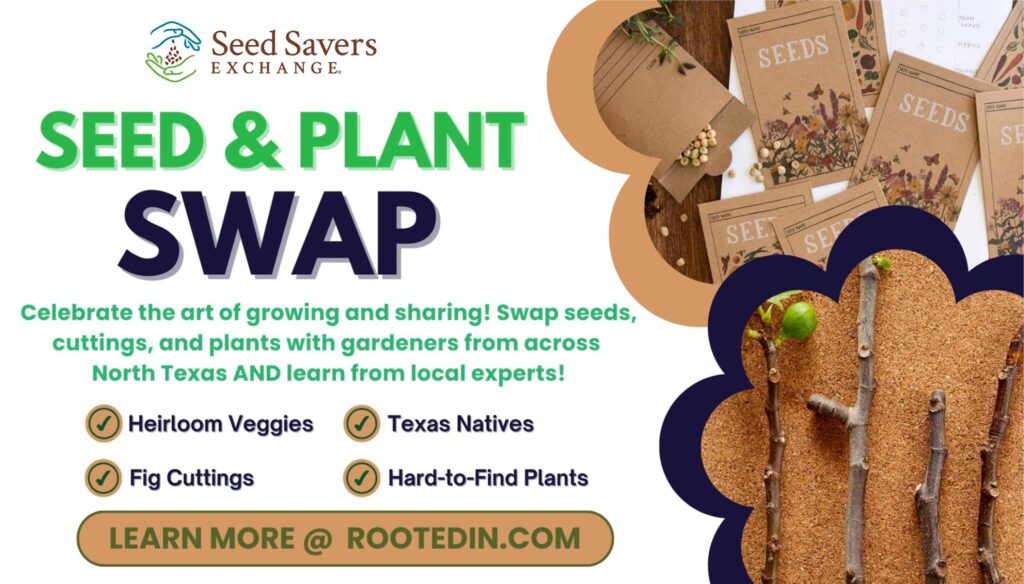 Seed & Plant Swap 1/25/2025 | Rooted In
